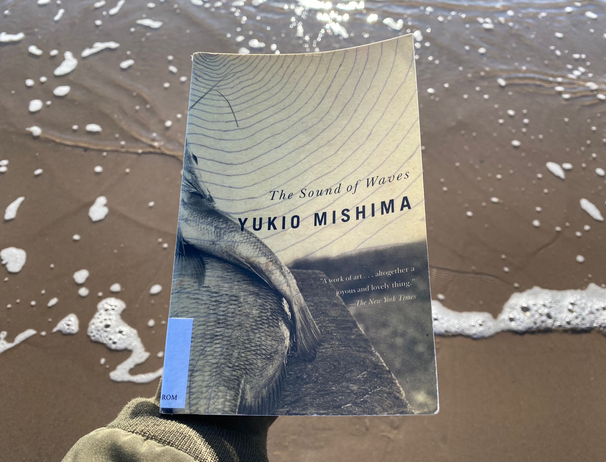 Yukio Mishima’s The Sound of Waves: The Knight Who Slays the Dragon ...