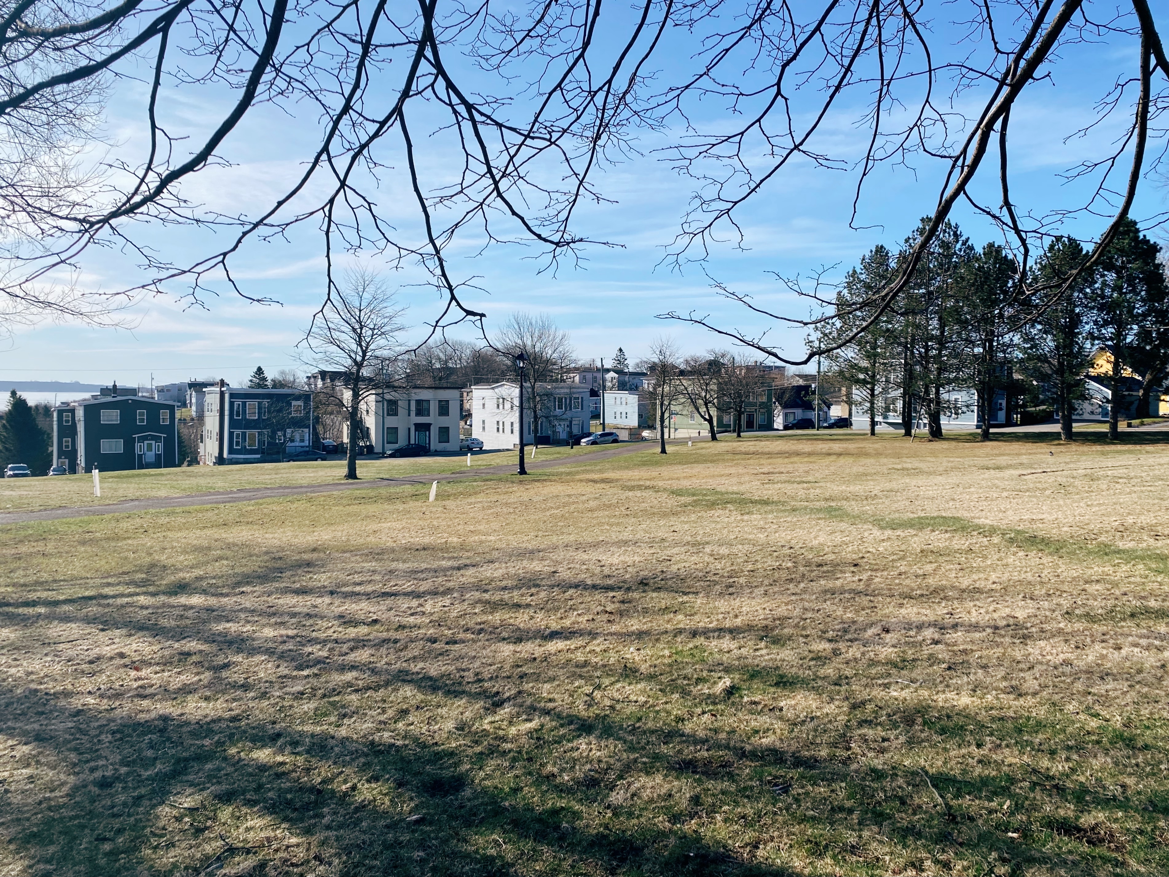 Scenes From a Late Morning Walk in April – Hephzibah Grace