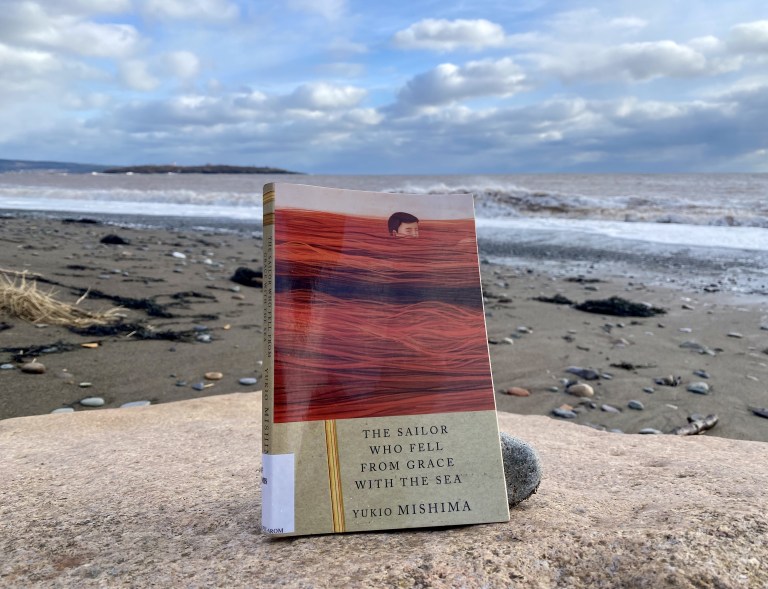 The Sailor Who Fell From Grace with the Sea by Yukio Mishima: God is a ...